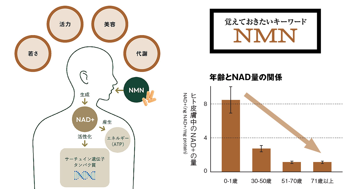 いま、美容業界で話題の成分「NMN」とは？ | MEN'S EX ONLINE